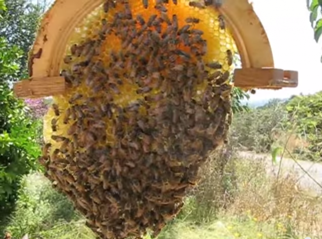 The Sun Hive: A Majestically Beautiful Bee Hive That Could Save The ...